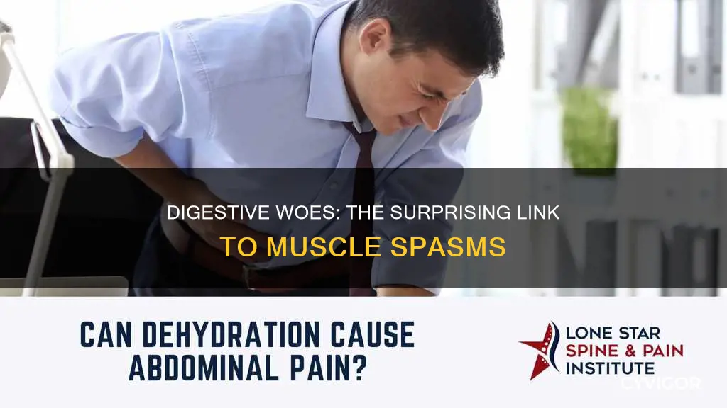Digestive Woes: The Surprising Link To Muscle Spasms | CyVigor
