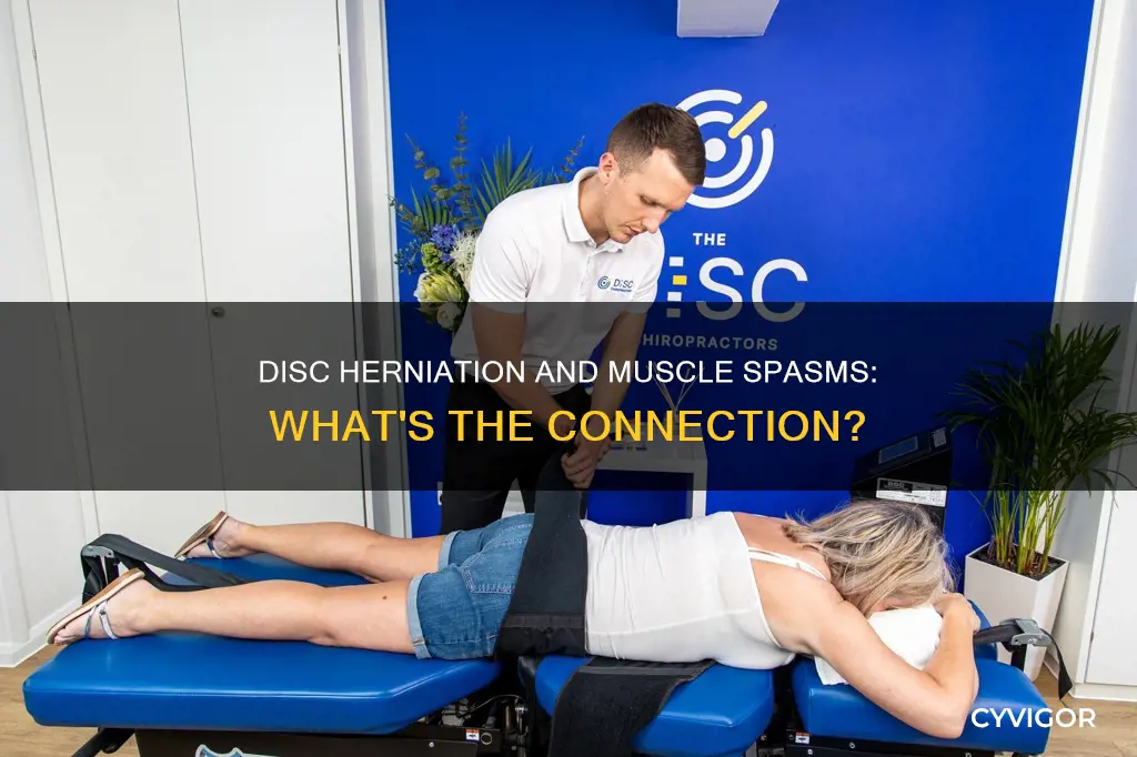 Disc Herniation And Muscle Spasms: What's The Connection? | CyVigor