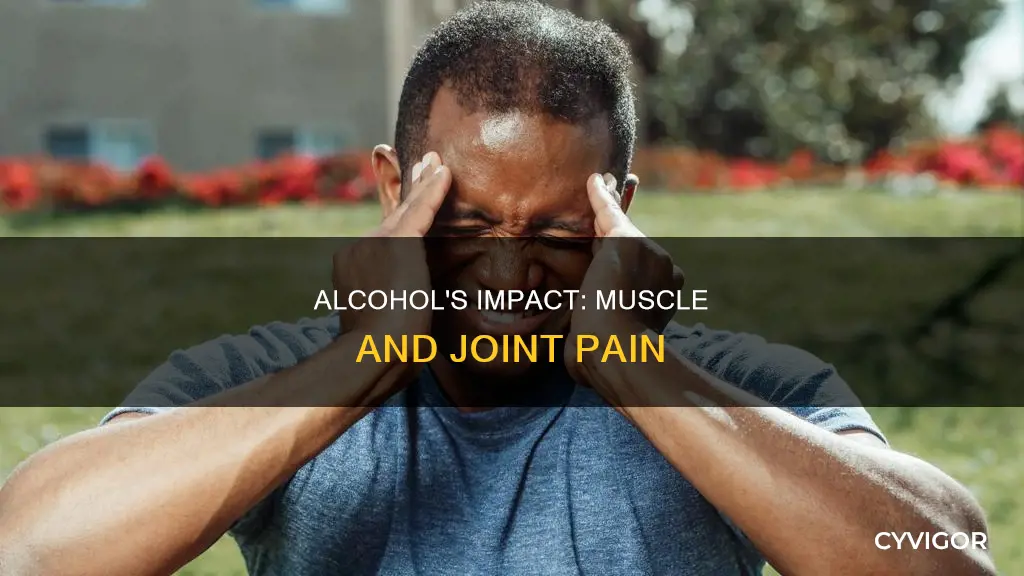 Alcohol's Impact: Muscle And Joint Pain | CyVigor
