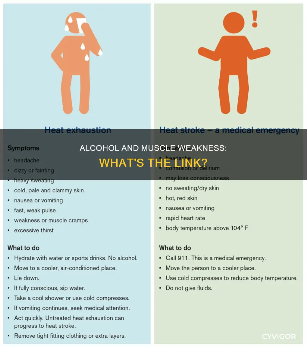 Alcohol And Muscle Weakness: What's The Link? | CyVigor