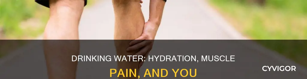 Drinking Water: Hydration, Muscle Pain, And You | CyVigor