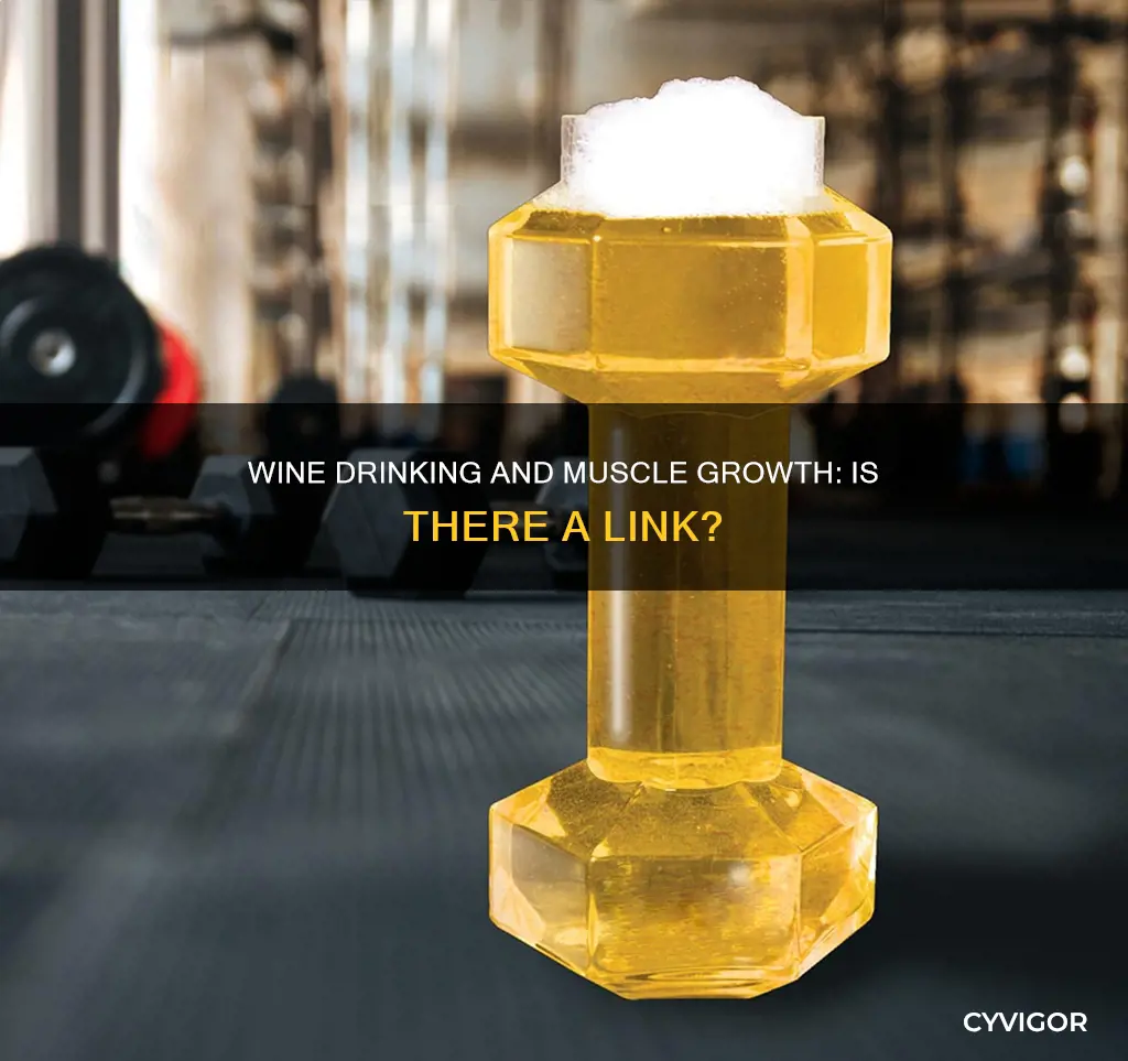 Wine Drinking And Muscle Growth: Is There A Link? | CyVigor