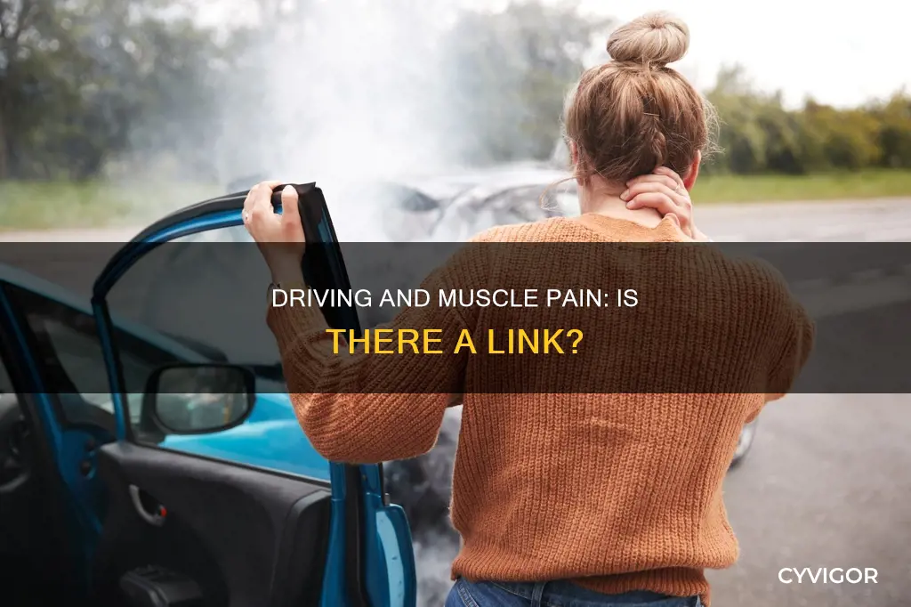 Driving And Muscle Pain: Is There A Link? | CyVigor