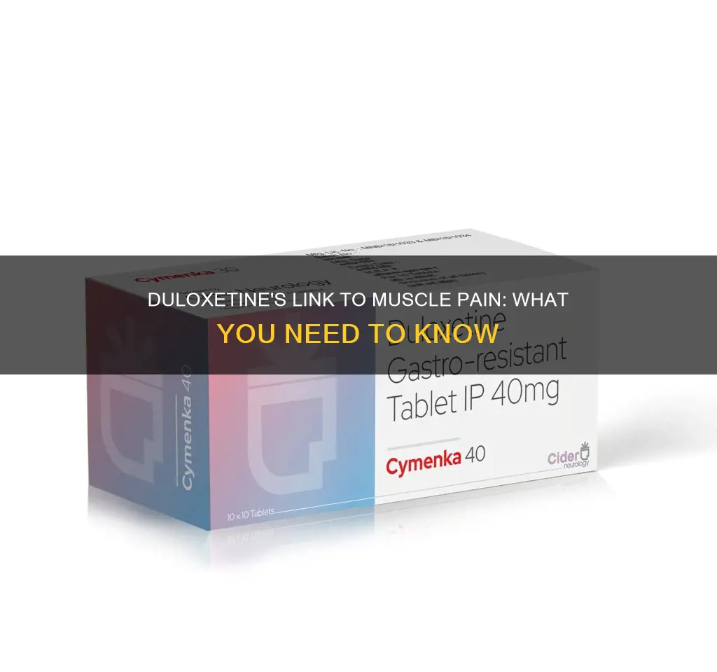 Duloxetine's Link To Muscle Pain: What You Need To Know | CyVigor