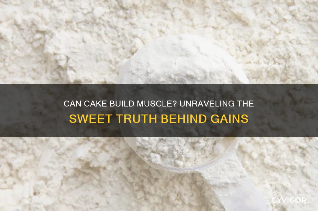 Can Cake Build Muscle? Unraveling The Sweet Truth Behind Gains | CyVigor