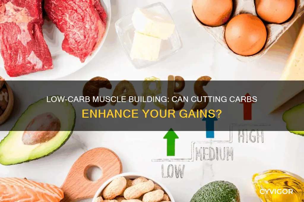 Low-Carb Muscle Building: Can Cutting Carbs Enhance Your Gains? | CyVigor