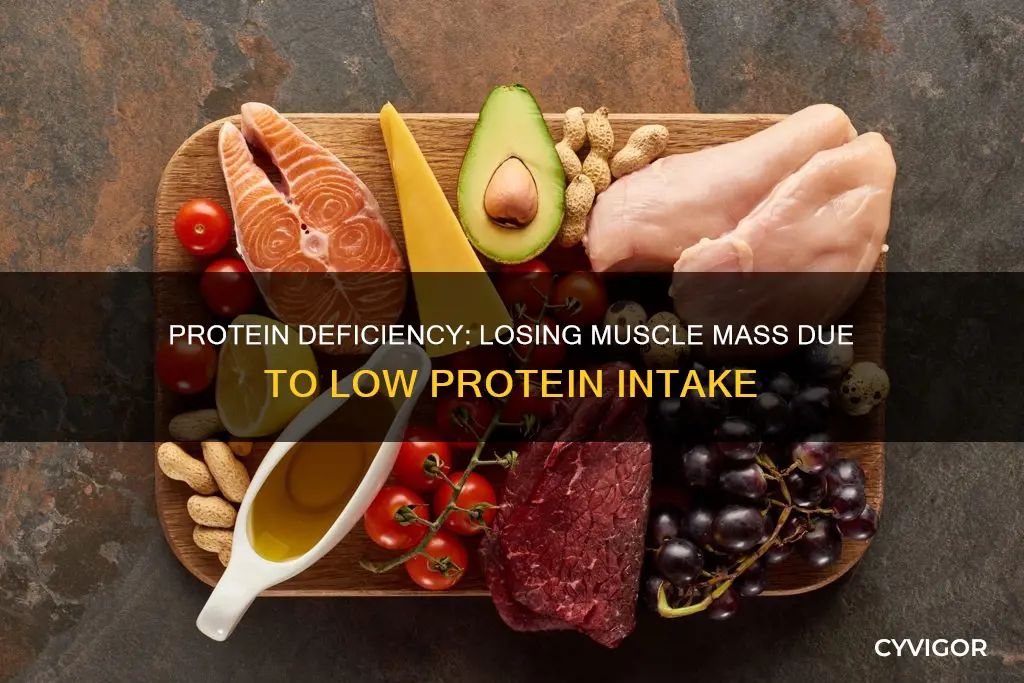 Protein Deficiency: Losing Muscle Mass Due To Low Protein Intake | CyVigor