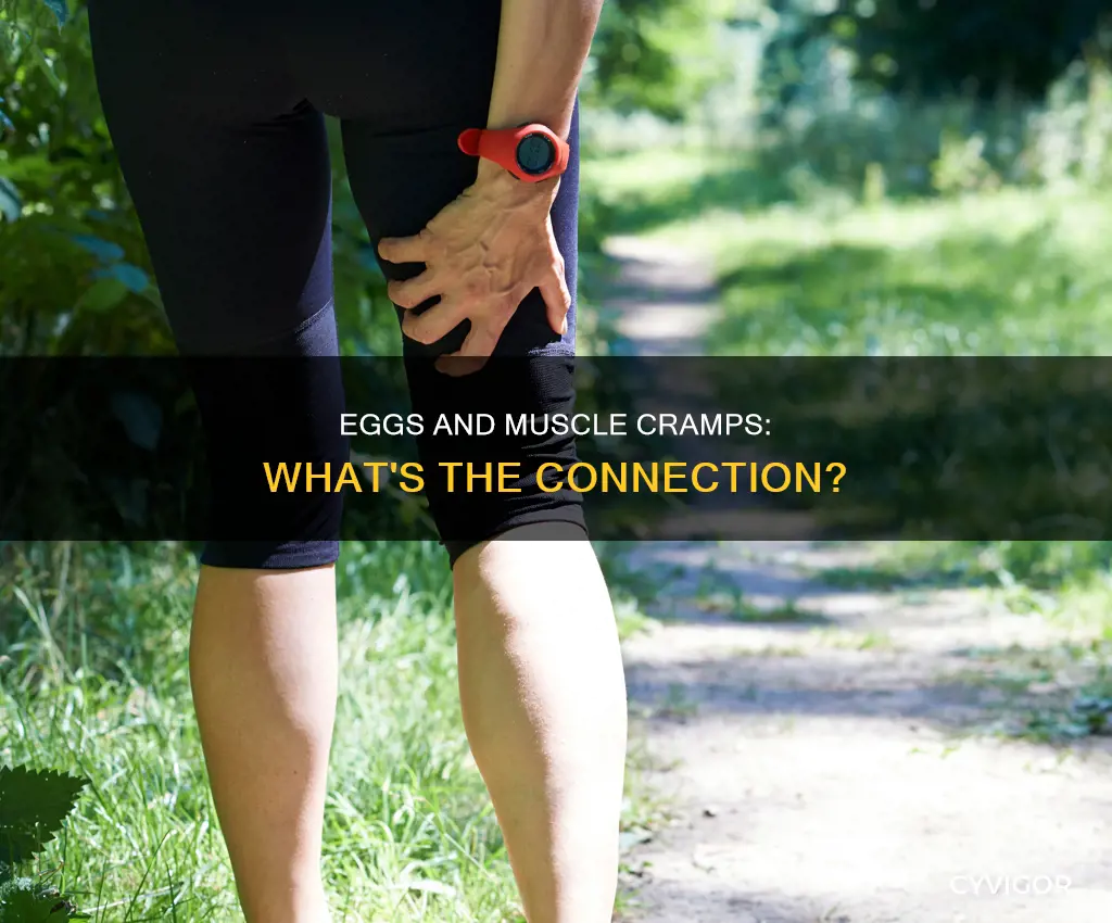 Eggs And Muscle Cramps: What's The Connection? | CyVigor