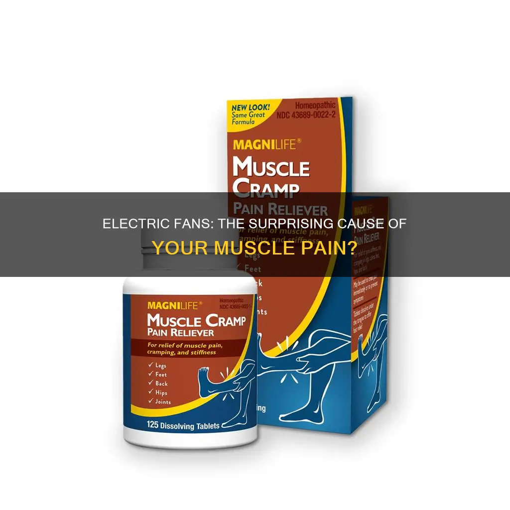 Electric Fans: The Surprising Cause Of Your Muscle Pain? | CyVigor
