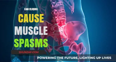 Electrolytes And Muscle Cramps: What's The Real Connection? | CyVigor