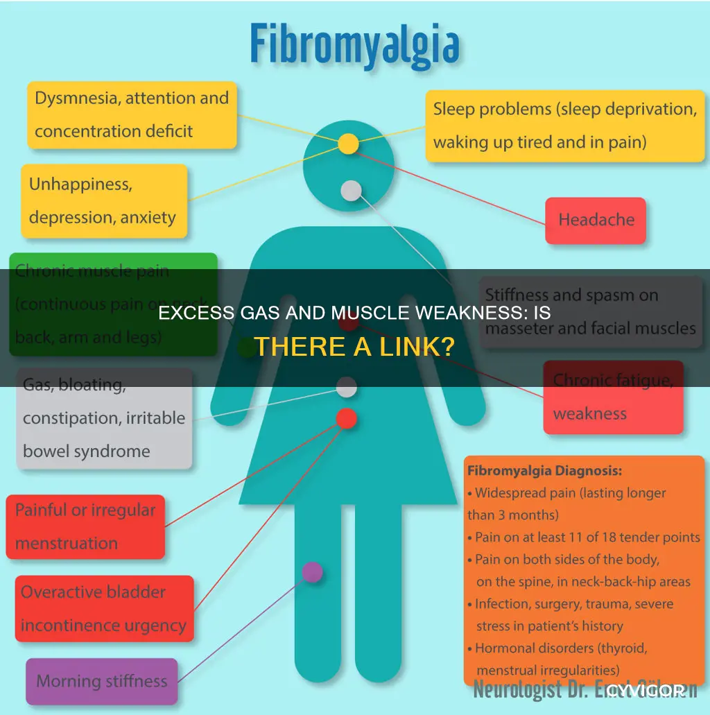Excess Gas And Muscle Weakness: Is There A Link? | CyVigor