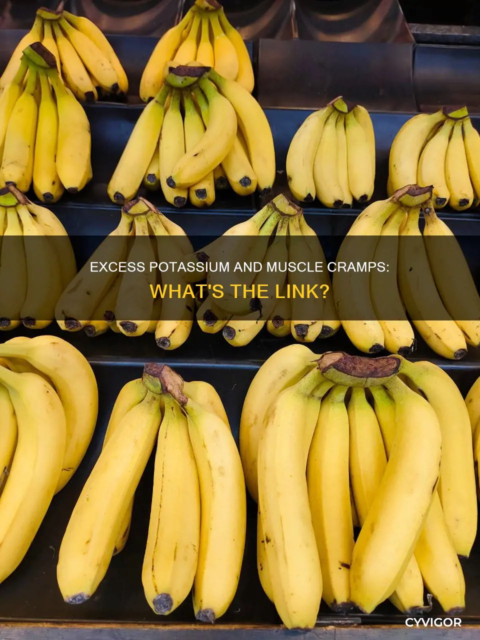 Excess Potassium And Muscle Cramps: What's The Link? | CyVigor