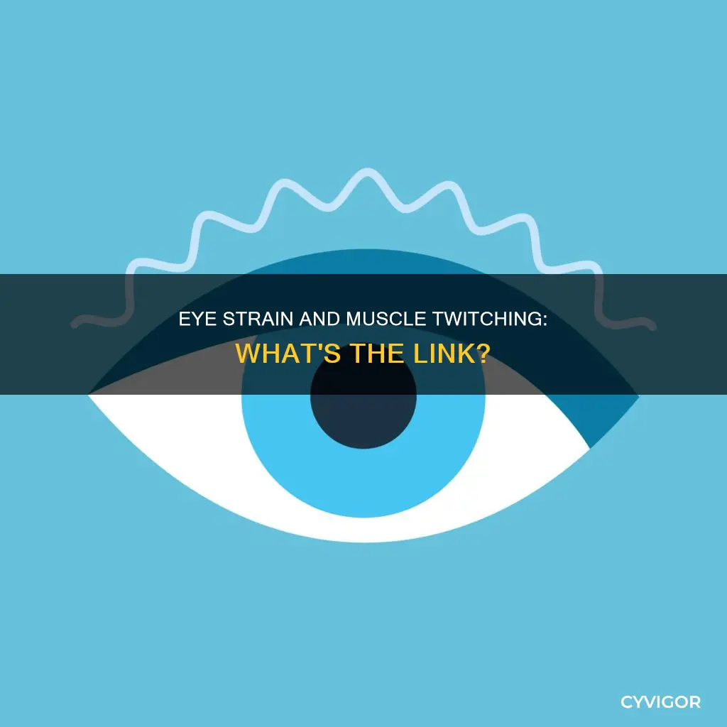 Eye Strain And Muscle Twitching: What's The Link? | CyVigor