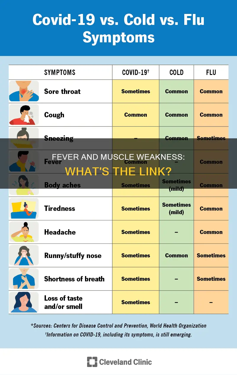 Fever And Muscle Weakness: What's The Link? | CyVigor