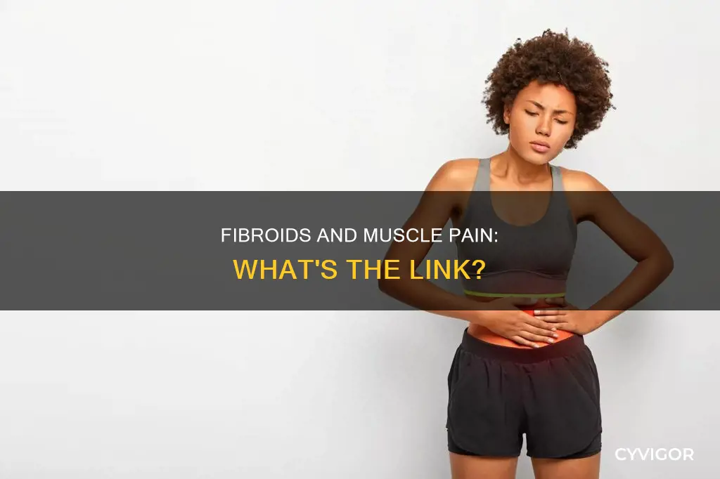 Fibroids And Muscle Pain: What's The Link? | CyVigor