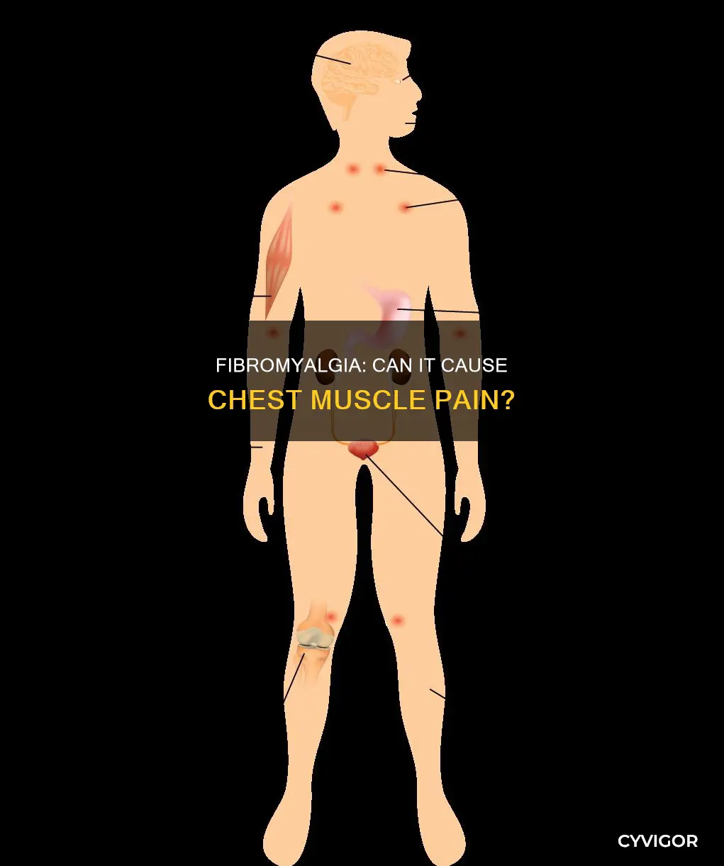 Fibromyalgia: Can It Cause Chest Muscle Pain? | CyVigor