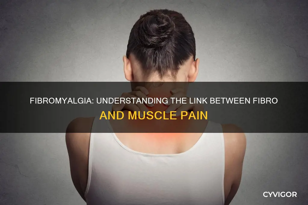 Fibromyalgia: Understanding The Link Between Fibro And Muscle Pain ...