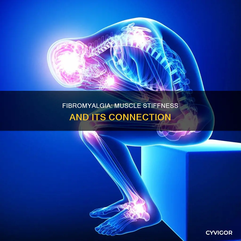 Fibromyalgia: Muscle Stiffness And Its Connection | CyVigor