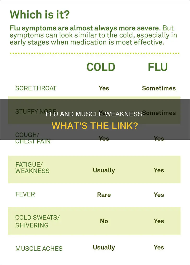 Flu And Muscle Weakness: What's The Link? | CyVigor