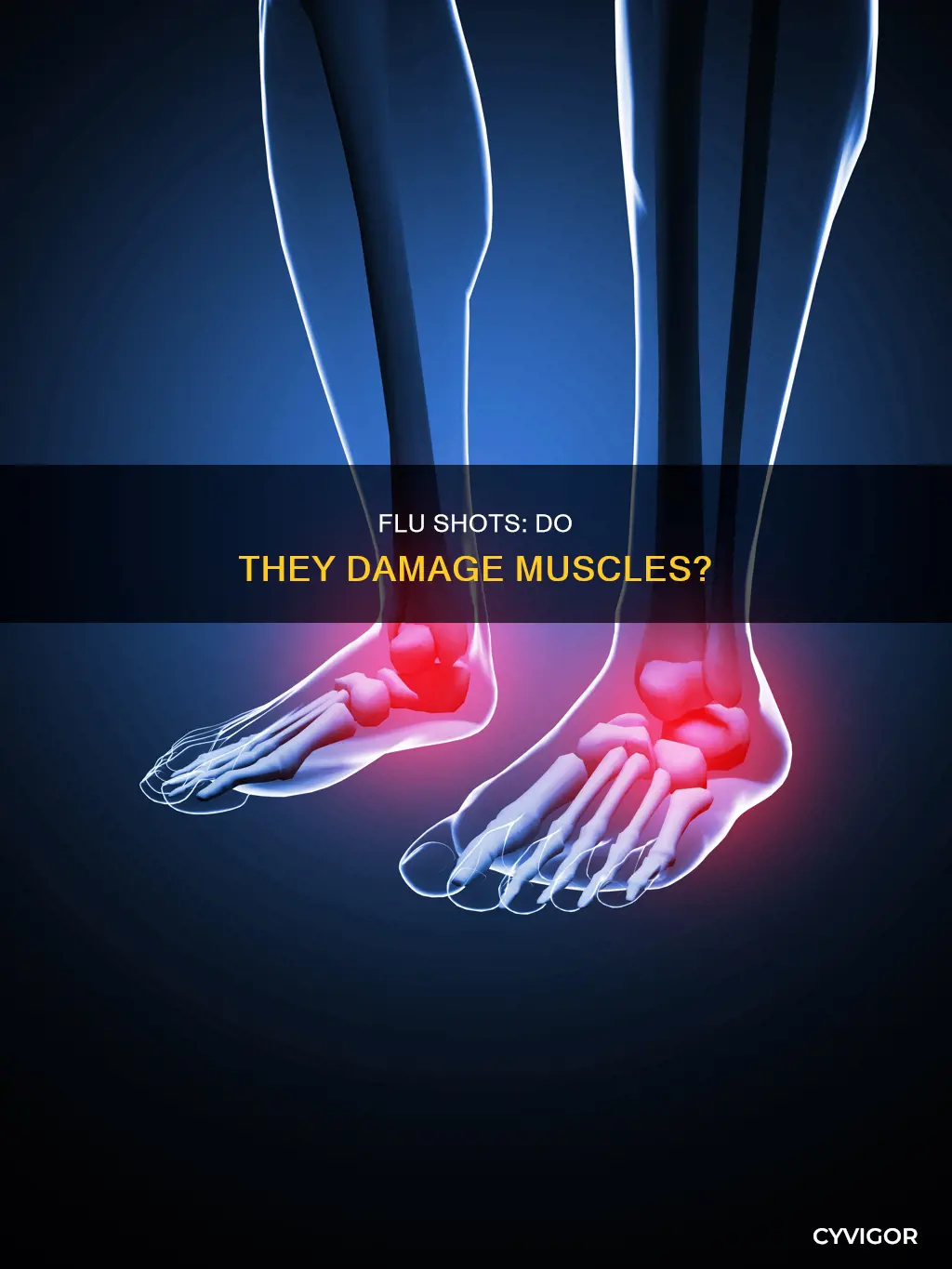 Flu Shots: Do They Damage Muscles? | CyVigor
