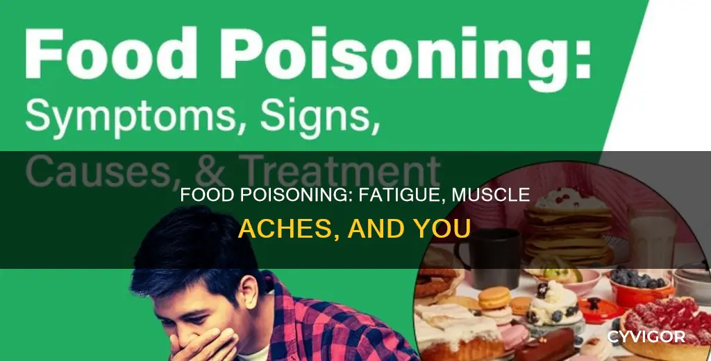 Food Poisoning: Fatigue, Muscle Aches, And You | CyVigor