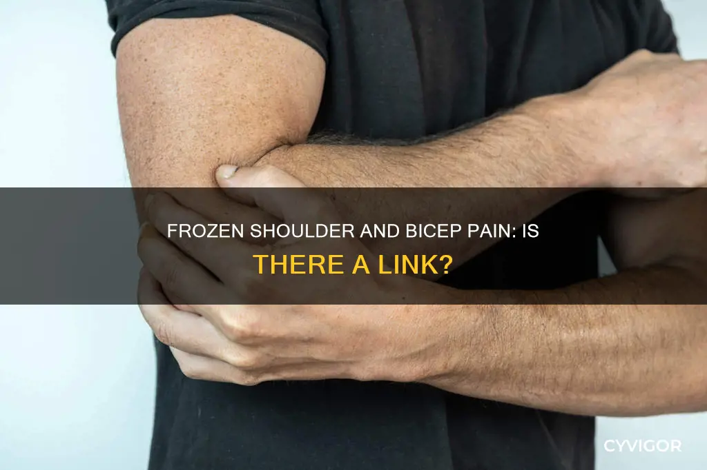 Frozen Shoulder And Bicep Pain: Is There A Link? | CyVigor