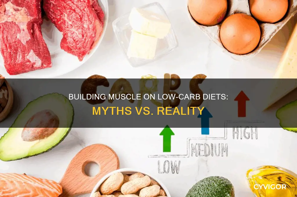 Building Muscle On Low-Carb Diets: Myths Vs. Reality | CyVigor