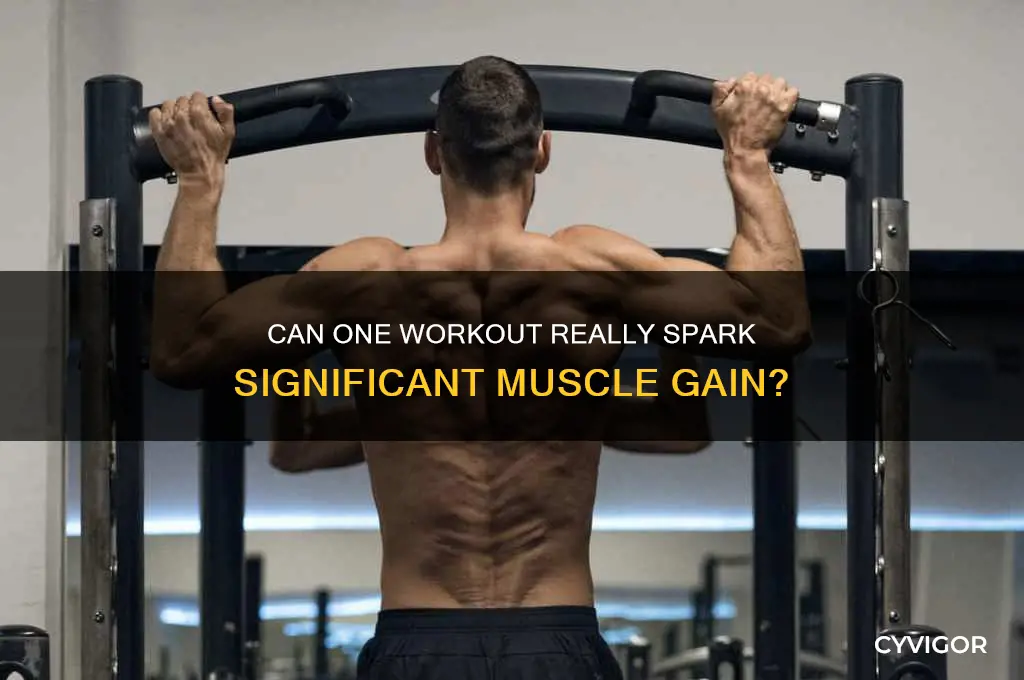 Can One Workout Really Spark Significant Muscle Gain? | CyVigor
