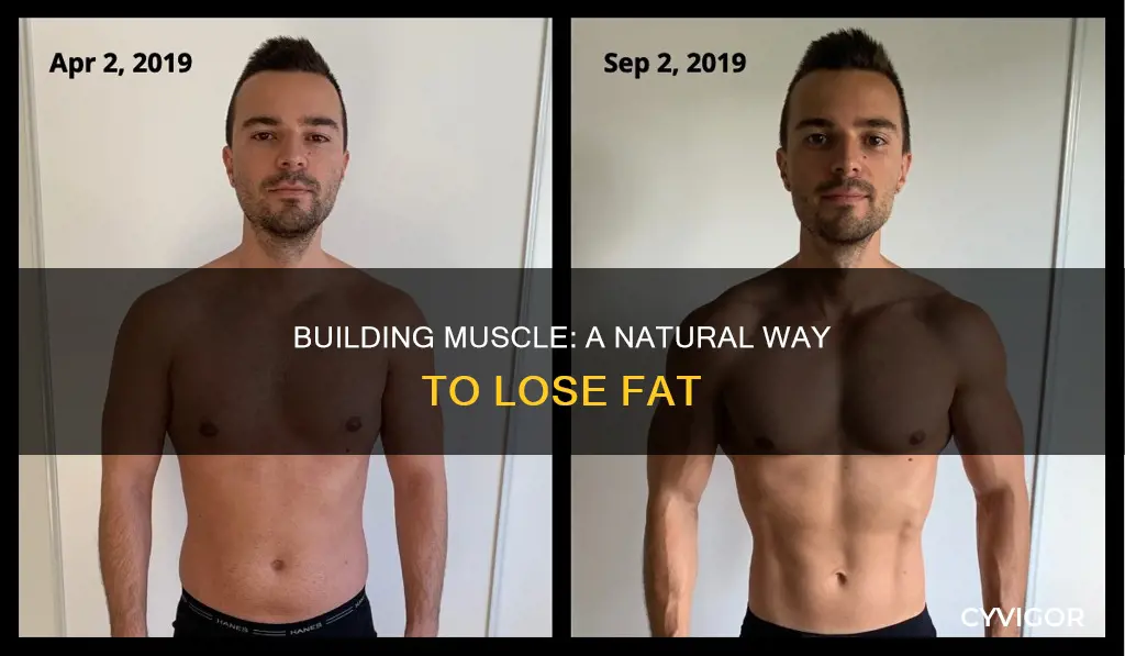 Building Muscle: A Natural Way To Lose Fat | CyVigor