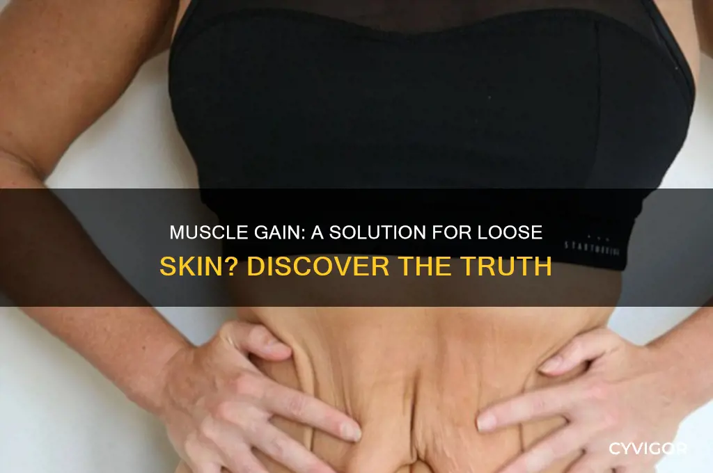 Muscle Gain: A Solution For Loose Skin? Discover The Truth | CyVigor