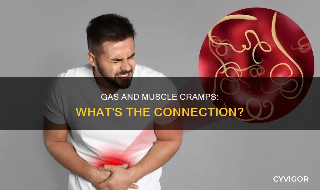 Gas And Muscle Cramps: What's The Connection? | CyVigor