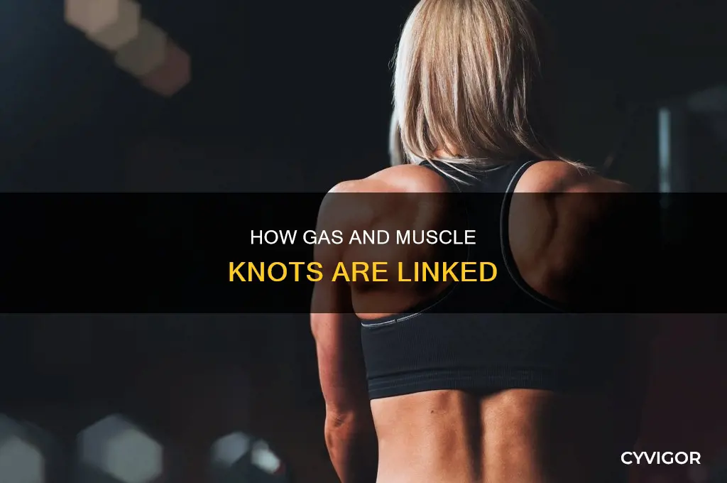 How Gas And Muscle Knots Are Linked | CyVigor