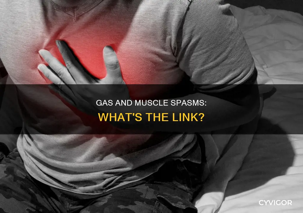 Gas And Muscle Spasms: What's The Link? | CyVigor