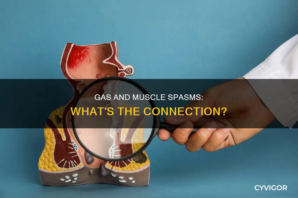 Gas And Muscle Spasms: What's The Connection? | CyVigor