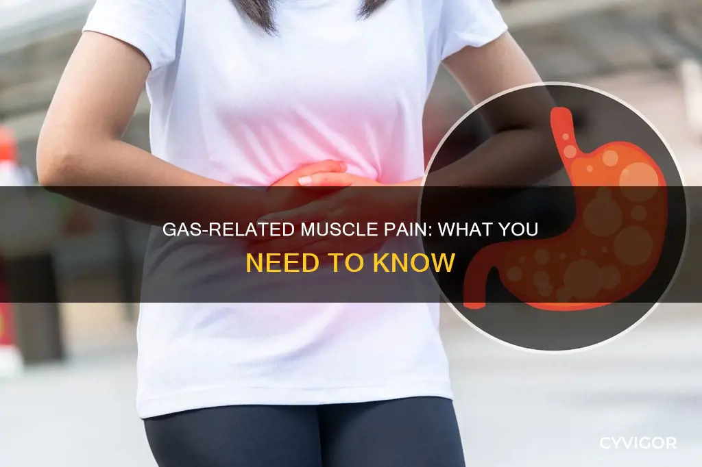 Gas-Related Muscle Pain: What You Need To Know | CyVigor