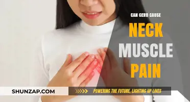 Gerd: Understanding The Link Between Acid Reflux And Body Aches | CyVigor