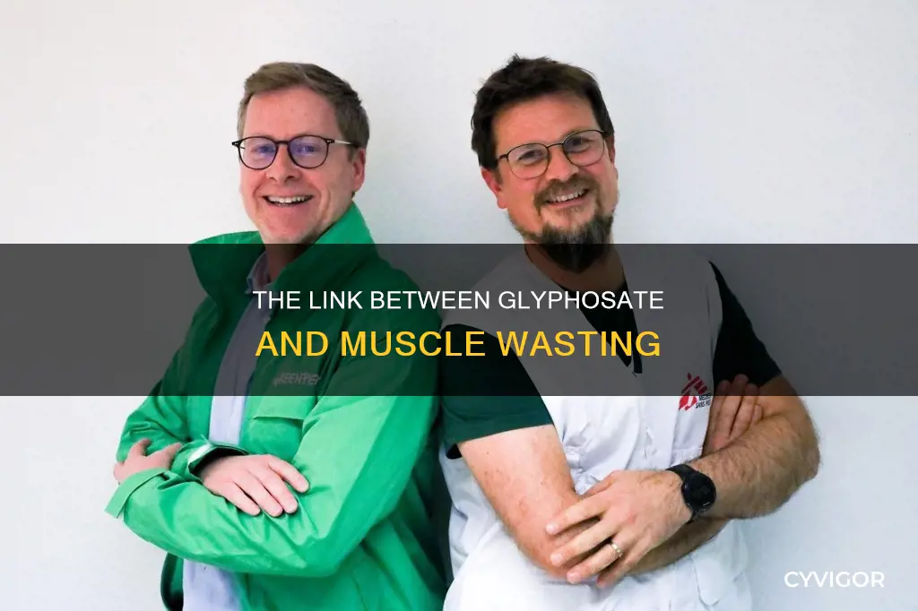 The Link Between Glyphosate And Muscle Wasting | CyVigor