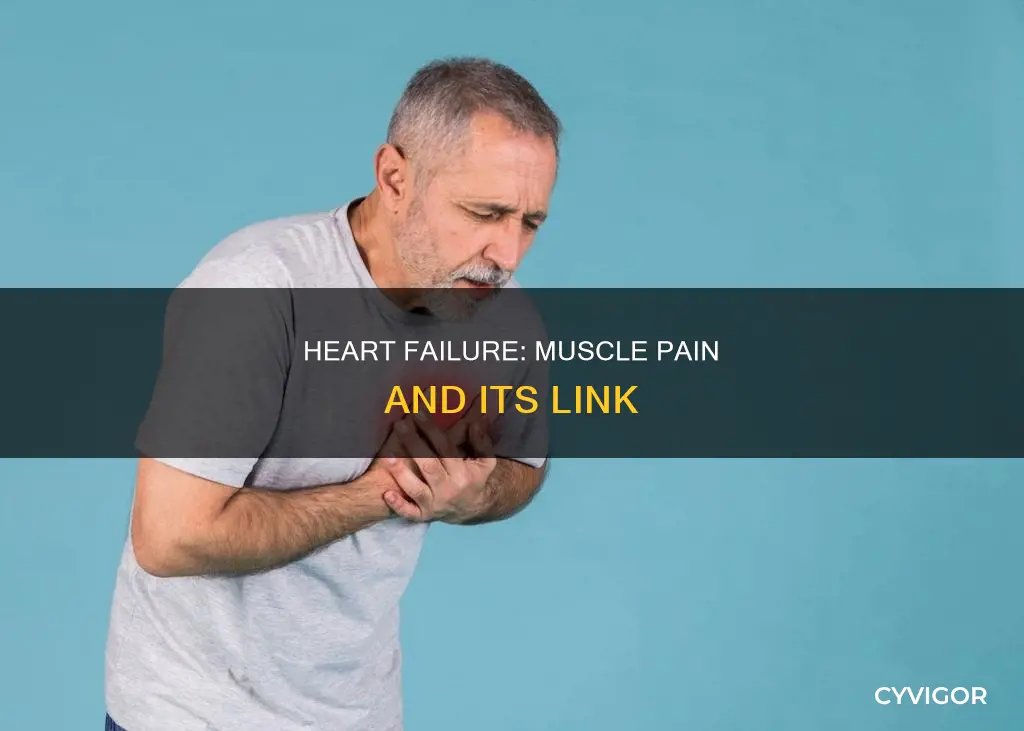 Heart Failure: Muscle Pain And Its Link | CyVigor