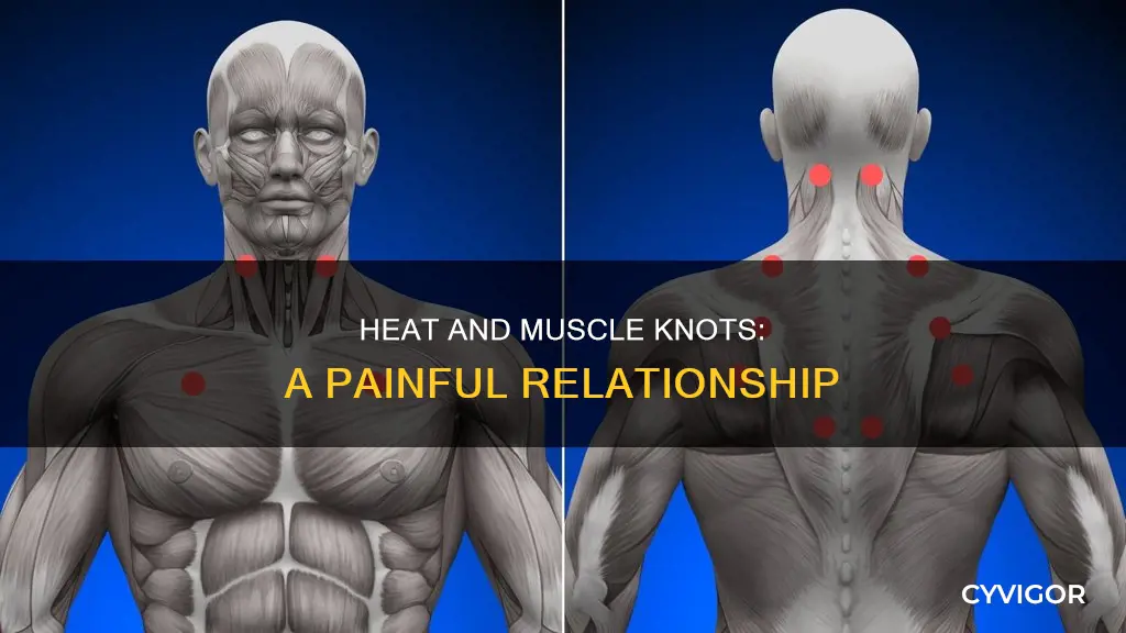 Heat And Muscle Knots: A Painful Relationship | CyVigor