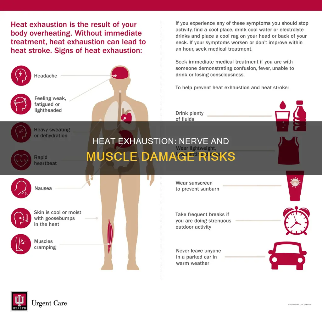 Heat Exhaustion: Nerve And Muscle Damage Risks | CyVigor