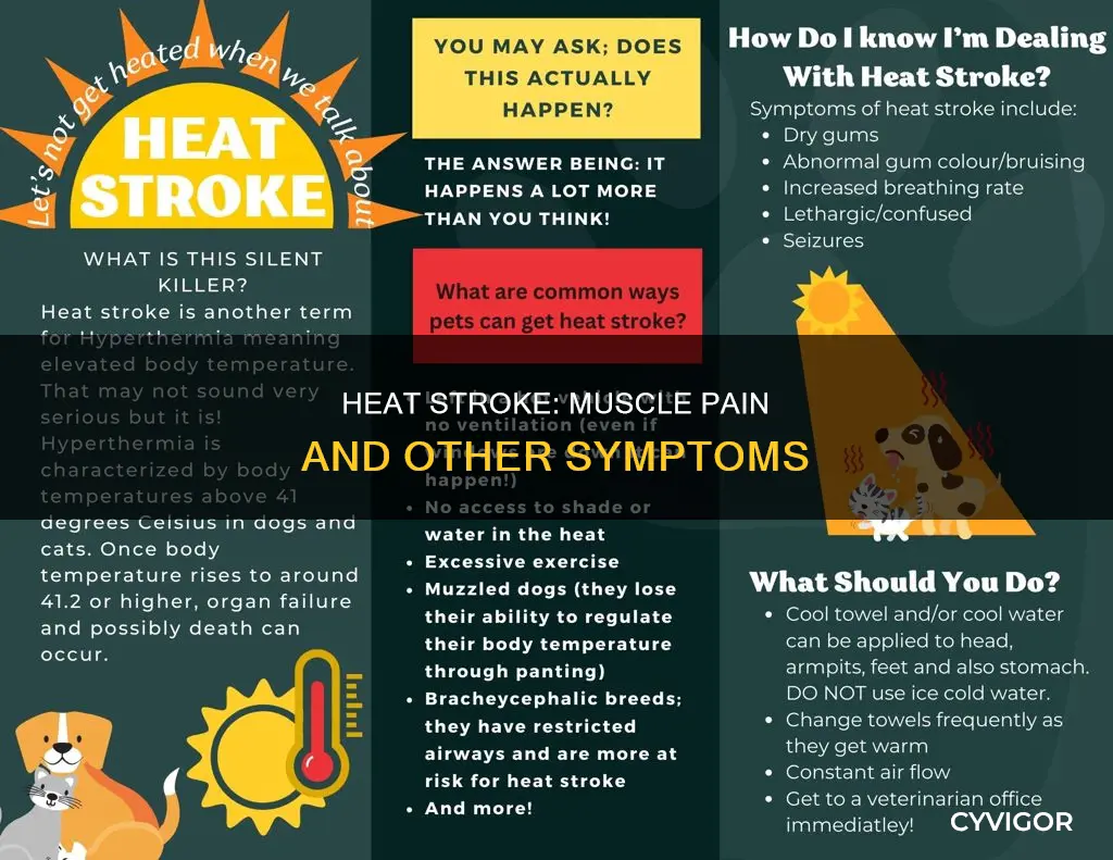 Heat Stroke: Muscle Pain And Other Symptoms | CyVigor