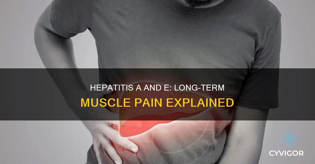 Hepatitis A And E: Long-Term Muscle Pain Explained | CyVigor