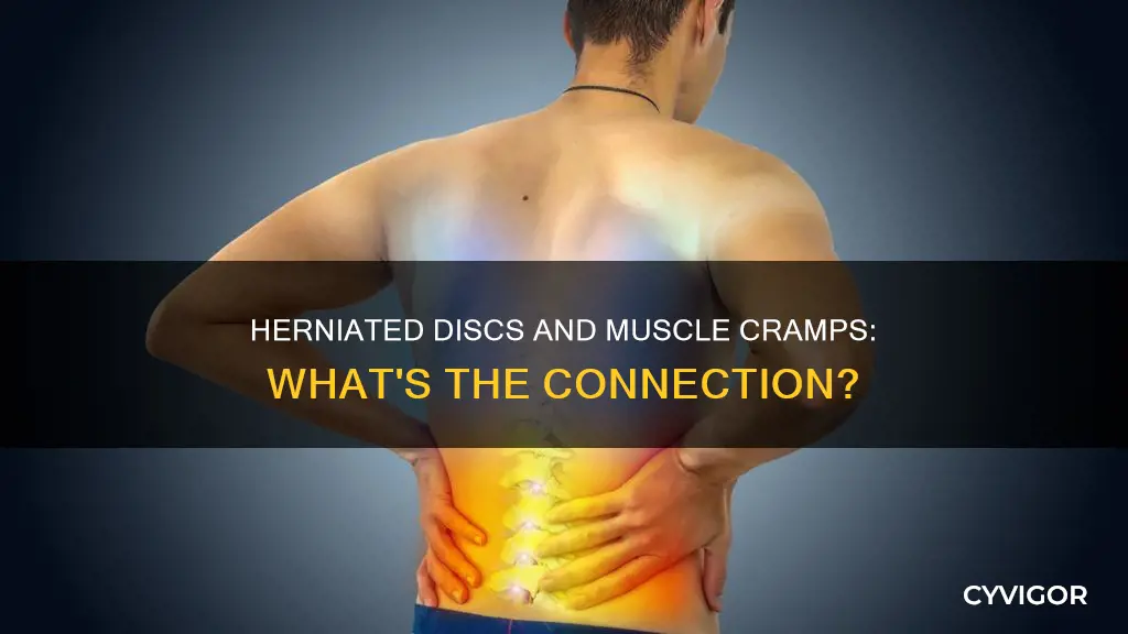 Herniated Discs And Muscle Cramps: What's The Connection? | CyVigor