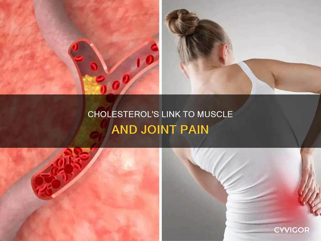 Cholesterol's Link To Muscle And Joint Pain | CyVigor
