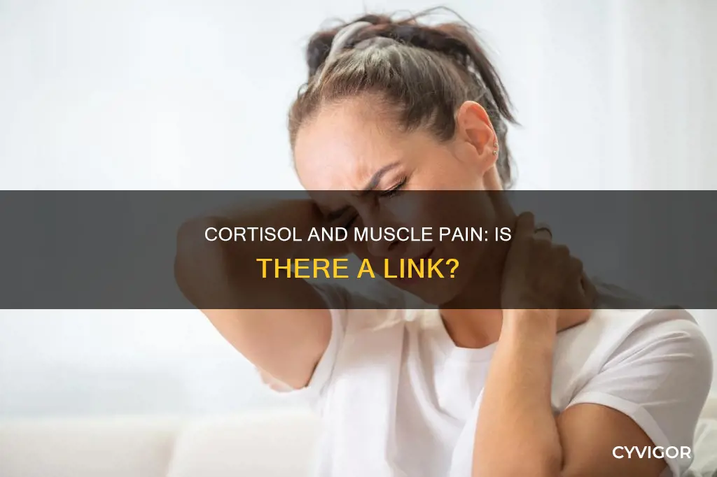 Cortisol And Muscle Pain: Is There A Link? | CyVigor