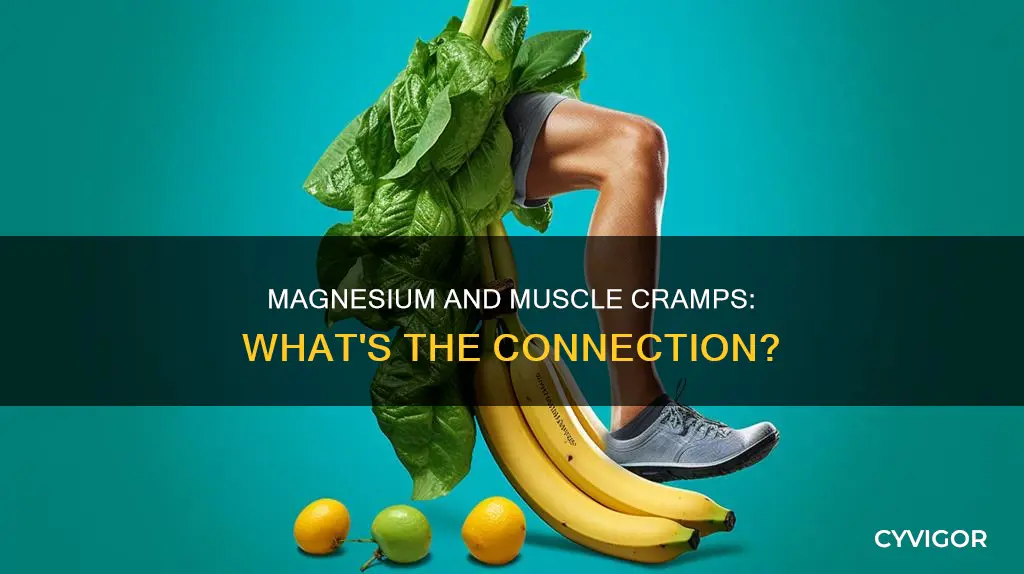 Magnesium And Muscle Cramps: What's The Connection? | CyVigor