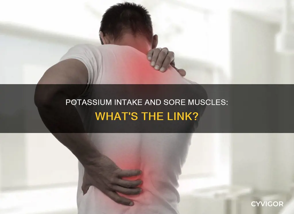 Potassium Intake And Sore Muscles: What's The Link? | CyVigor