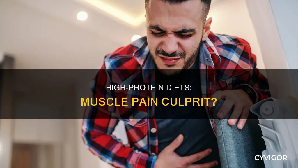 High-Protein Diets: Muscle Pain Culprit? | CyVigor