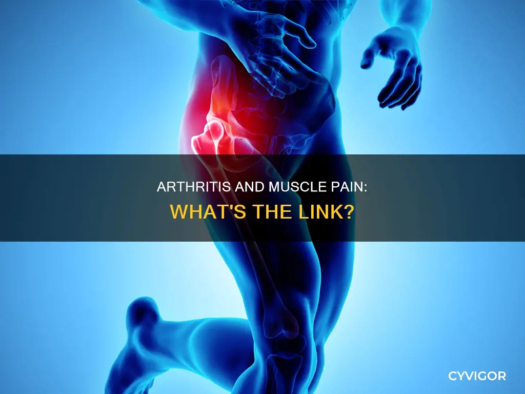 Arthritis And Muscle Pain: What's The Link? | CyVigor