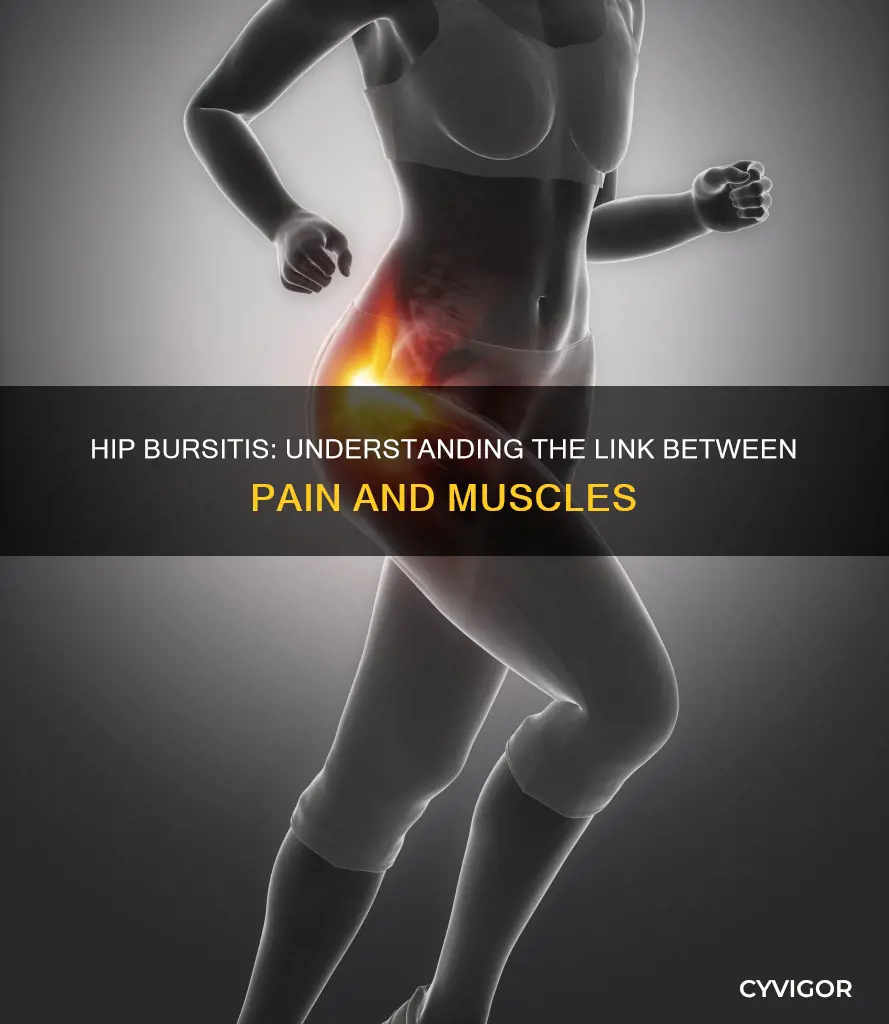 Hip Bursitis: Understanding The Link Between Pain And Muscles | CyVigor